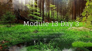 Module 13 Day 3-1 at emaze Presentation