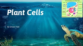 Plant Cell at emaze Presentation