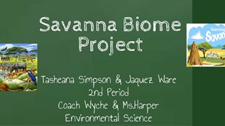 Savanna Biome Project at emaze Presentation