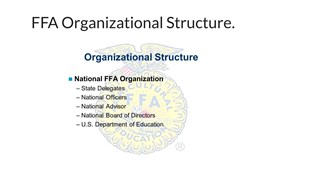 ffa organizational structure at emaze Presentation