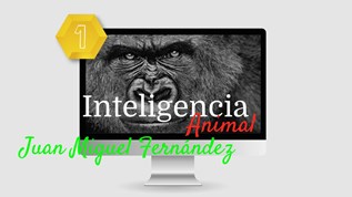 inteligencia animal at emaze Presentation