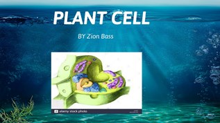 plant cell at emaze Presentation