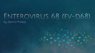 EV-D68 at emaze Presentation