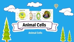 Cells at emaze Presentation