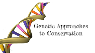 Genetic Approaches to Conservation at emaze Presentation