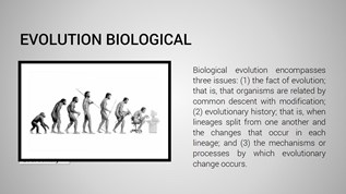 evolution at emaze Presentation