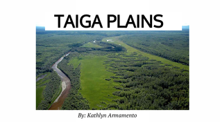 Taiga Plains at emaze Presentation
