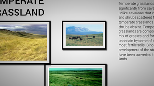 Temperate grassland at emaze Presentation