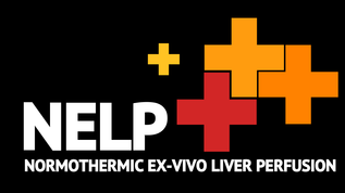 NELP at emaze Presentation