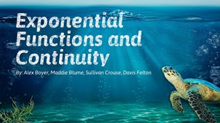 Calculus Group 3b at emaze Presentation