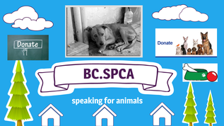 BC SPCA (speaking for animals) at emaze Presentation