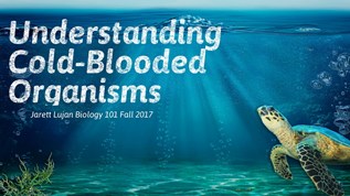 Cold-Blooded Organisms at emaze Presentation
