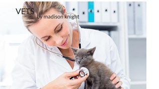 vets at emaze Presentation