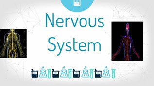 Nervous System at emaze Presentation