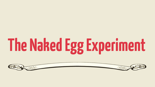 The Naked Egg Experiment at emaze Presentation