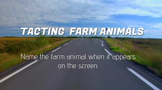 Tacting farm animals at emaze Presentation