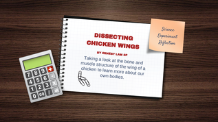 Dissecting Chicken Wings at emaze Presentation