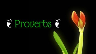 Proverbs at emaze Presentation