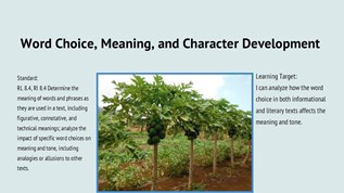 Word Choice and Meaning at emaze Presentation