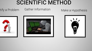 scientific method at emaze Presentation