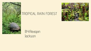 Presentation Name at emaze Presentation