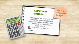 Google Tricks Scavenger Hunt at emaze Presentation