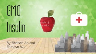 GMO Insulin at emaze Presentation