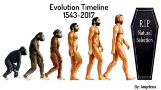Evolution Timeline at emaze Presentation