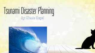 Tsunami Disaster Planning at emaze Presentation