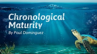 Chronological Maturity At Emaze Presentation