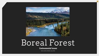 Boreal Forest at emaze Presentation