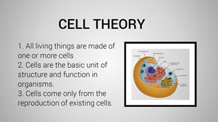 cell theory at emaze Presentation