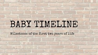 baby timeline at emaze Presentation