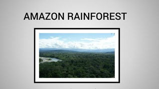 Gallery copy1 at emaze Presentation