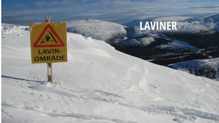 Laviner at emaze Presentation