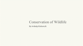 Conservation of Wildlife.pptx at emaze Presentation
