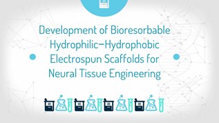 Neural Scaffolds at emaze Presentation