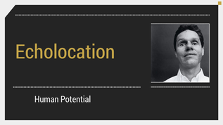 Echolocation at emaze Presentation