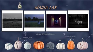 maria_lax_ at emaze Photo Album