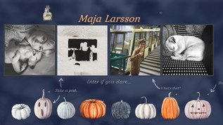 maja_larsson at emaze Photo Album