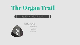 The Organ Trail at emaze Presentation