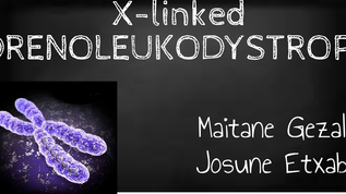 Genetics at emaze Presentation