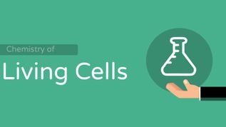 Living Cells at emaze Presentation