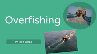 Overfishing at emaze Presentation