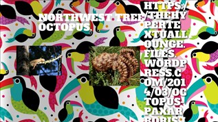 About the Northwest tree Octopus at emaze Presentation