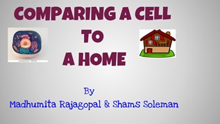 Comparing a Cell to a House at emaze Presentation