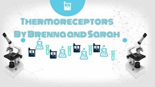 Thermoreceptor at emaze Presentation