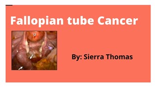 Illustrated at emaze Presentation