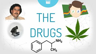 THE DRUGS at emaze Presentation