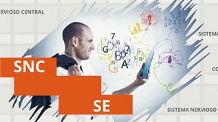 SNC, SNP, SE at emaze Presentation